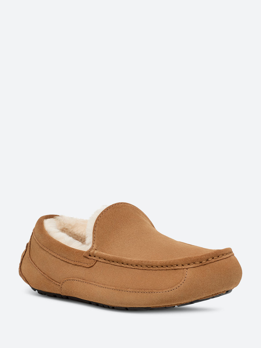 Ugg ascot mens slippers store