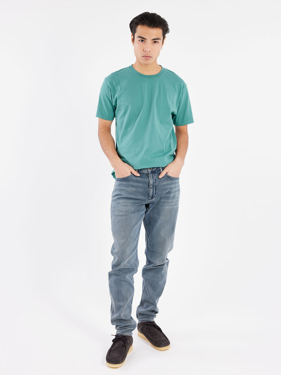 Colorful Standard - Classic Organic Tee in Pine Green – gravitypope