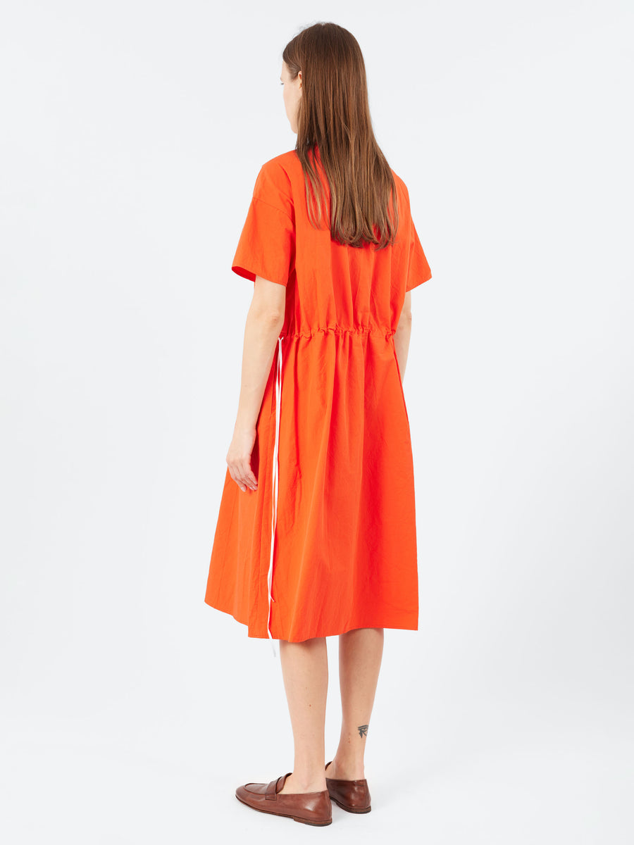 ApuntoB - P1935 Dress in Poppy – gravitypope