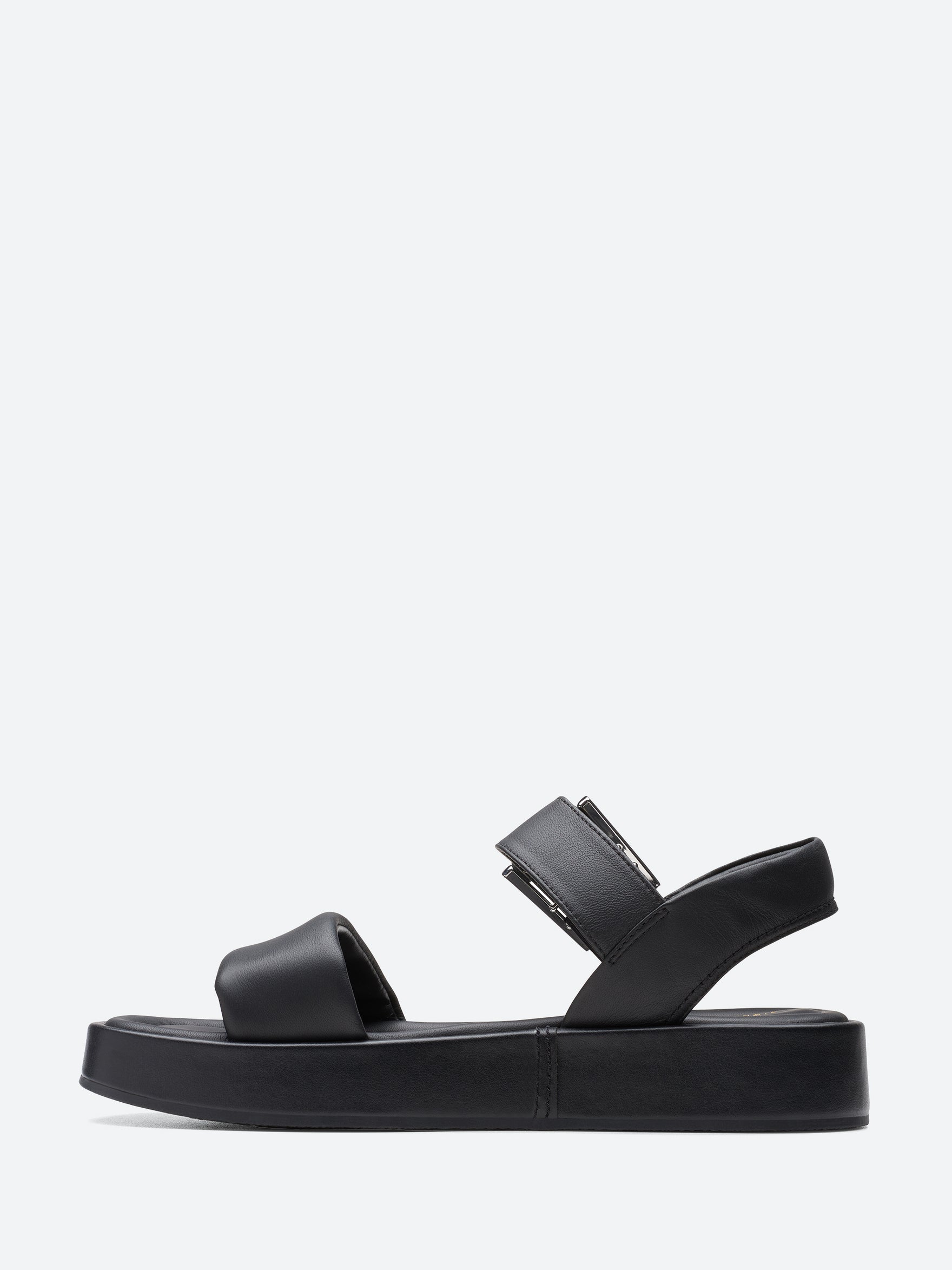 Torhill Maple – gravitypope