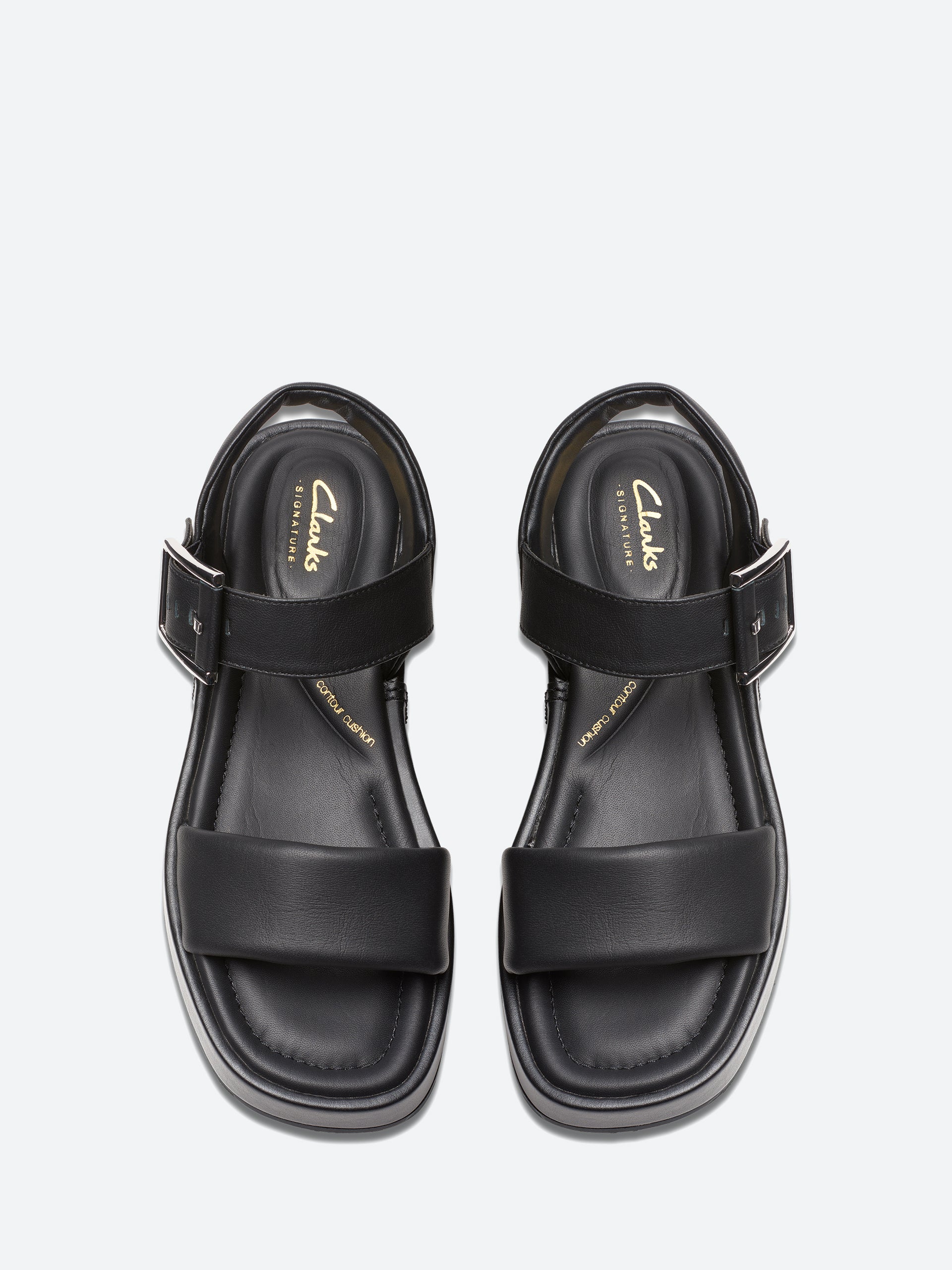 Torhill Maple – gravitypope