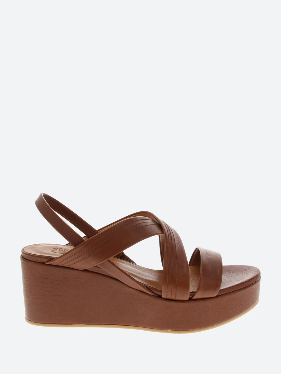 Lily – gravitypope